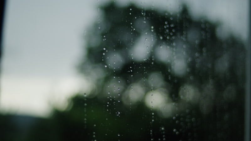Water Droplets, Drizzle, Raindrops, Glass by BOREALE VISION – Stock ...