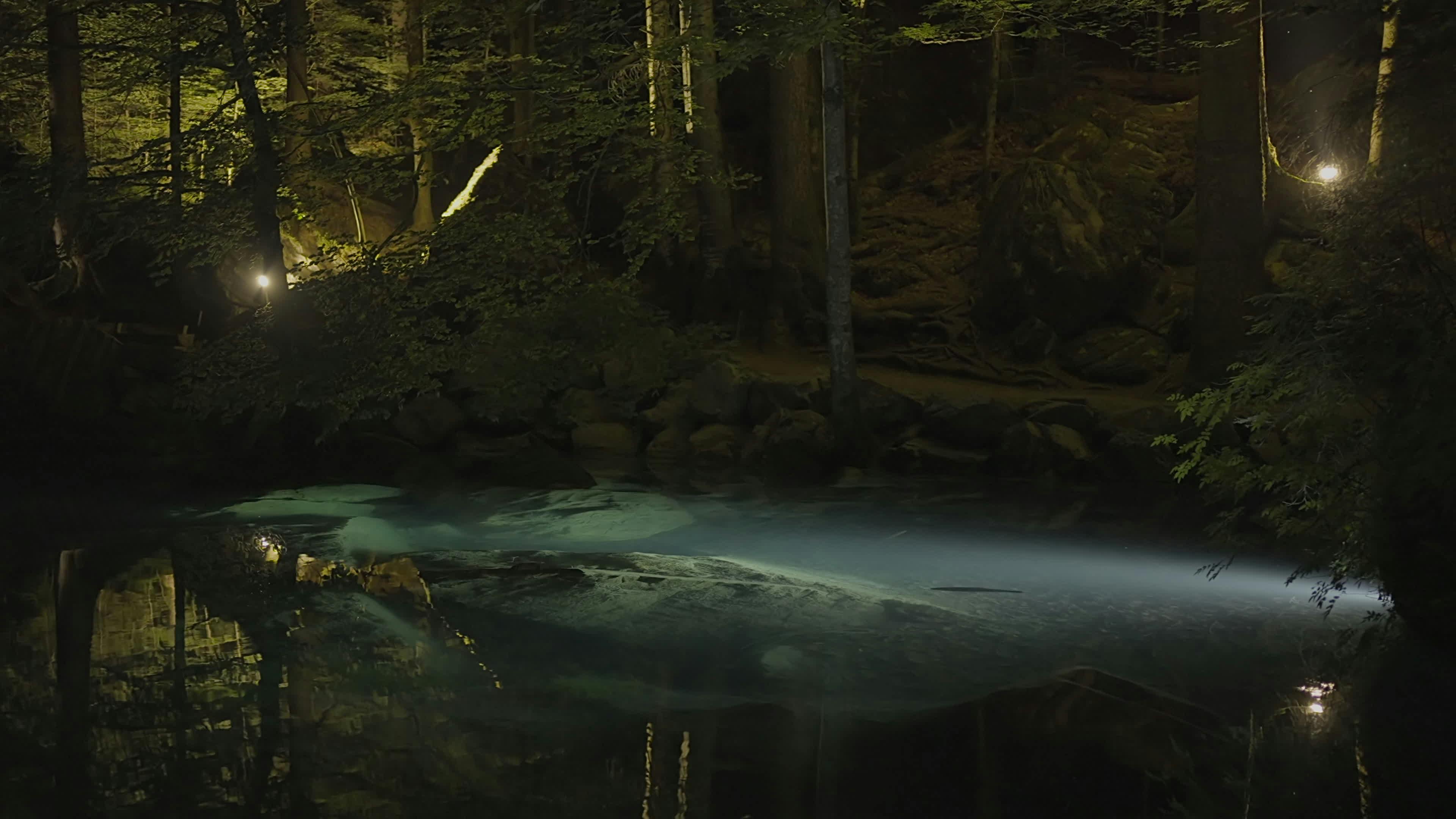 Discover night-forest-scenery, a story-driven footage | Artlist