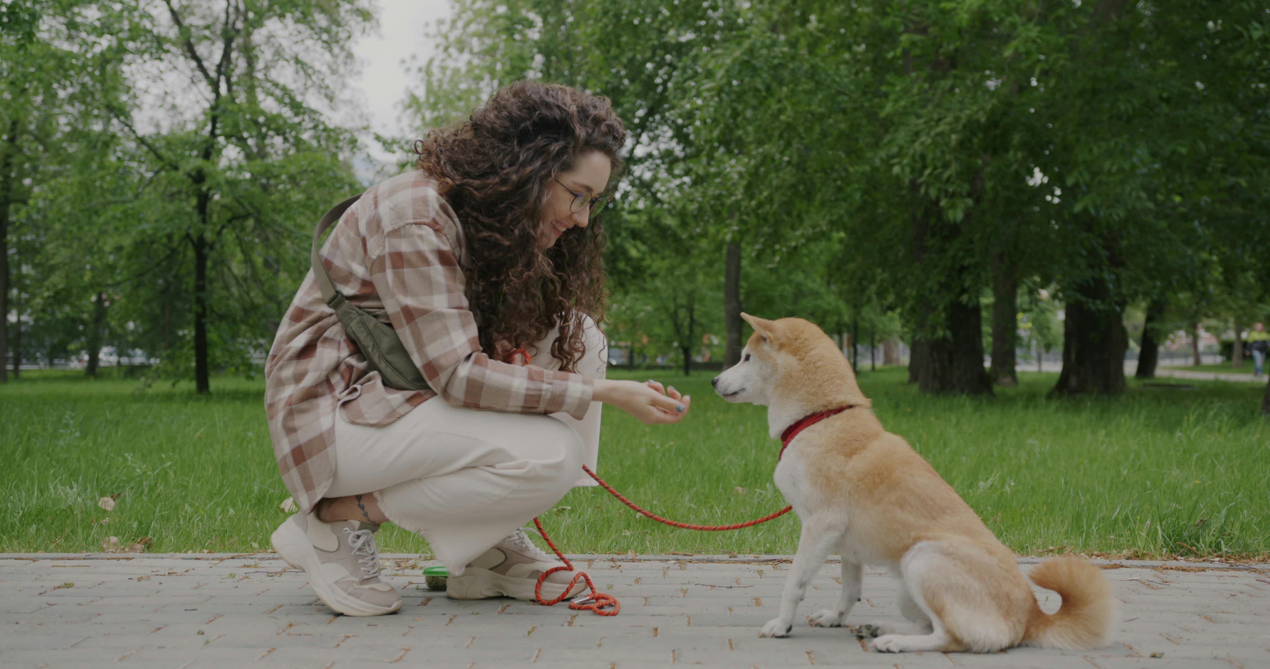 Discover dogs-are-our-best-friends, a story-driven footage | Artlist