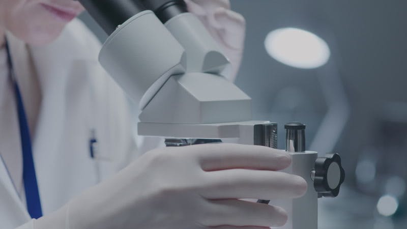 Microscope, Lab, Scientist, Research by Yuki Film – Stock Footage | Artlist