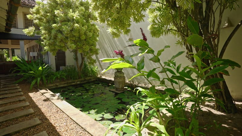 Flower Pot, Villa, Fish Pond, Plants by Artem Medvediev – Stock Footage ...
