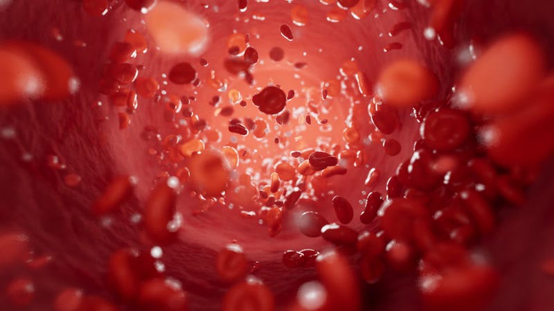 Arteries, 3d, Cgi, Bloodstream by Happy Whale VFX – Stock Footage | Artlist