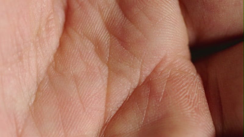 Human, Wrinkles, Creases, Palm by Robbie Fatt – Stock Footage | Artlist