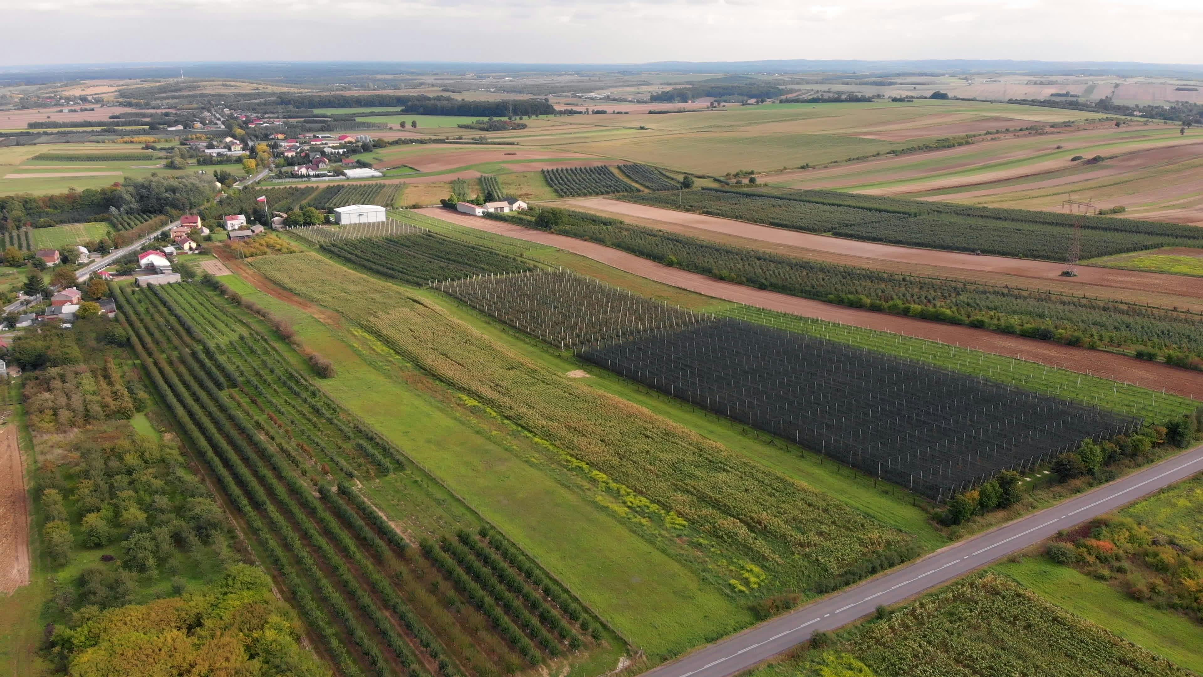 Discover farm-crops, a story-driven footage | Artlist