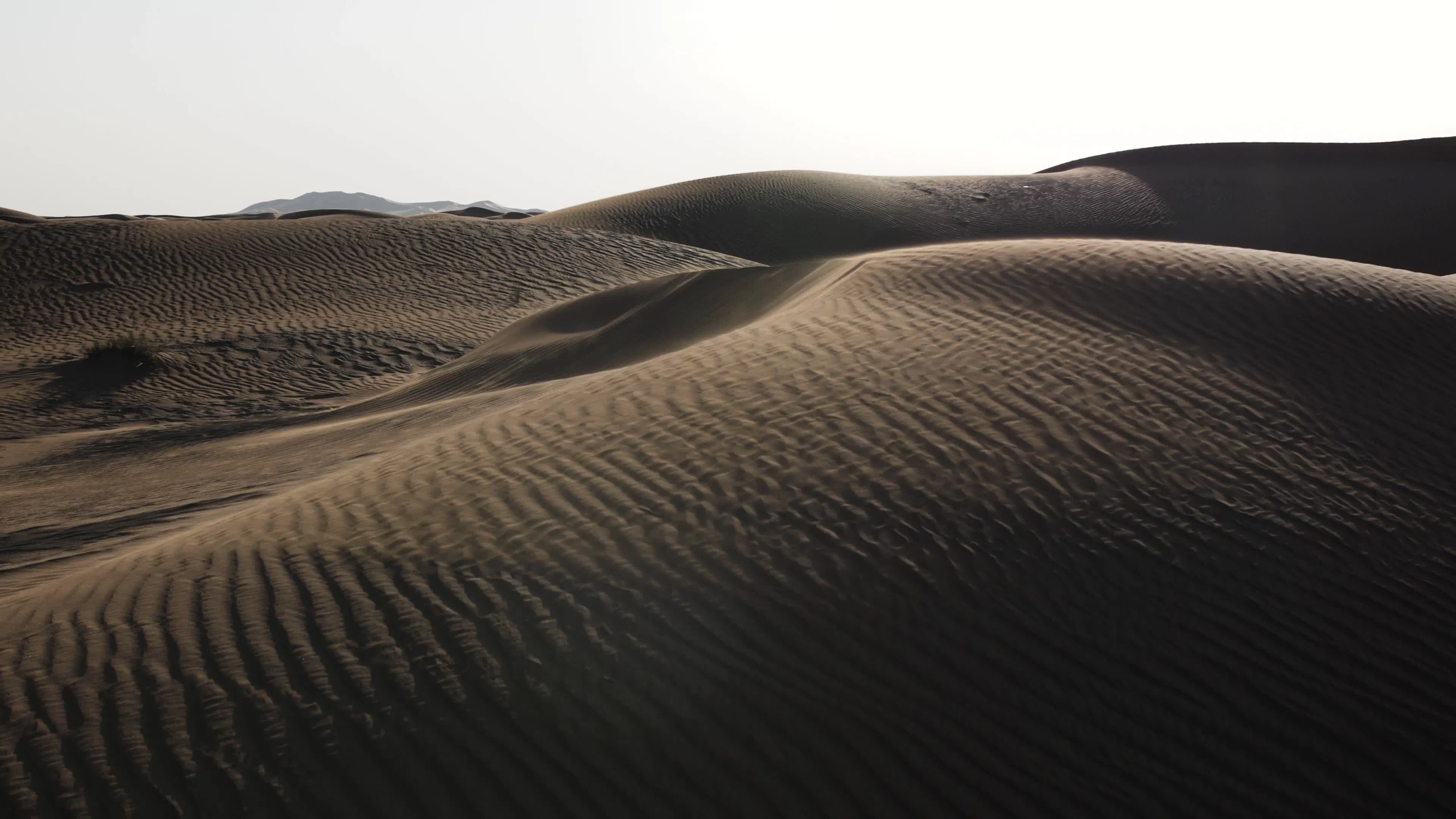 Discover Windy Desert A Story Driven Footage Artlist