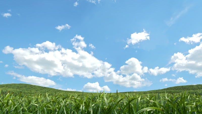Field, Grass, Timelapse, Cgi by Nicolas Merono – Stock Footage | Artlist