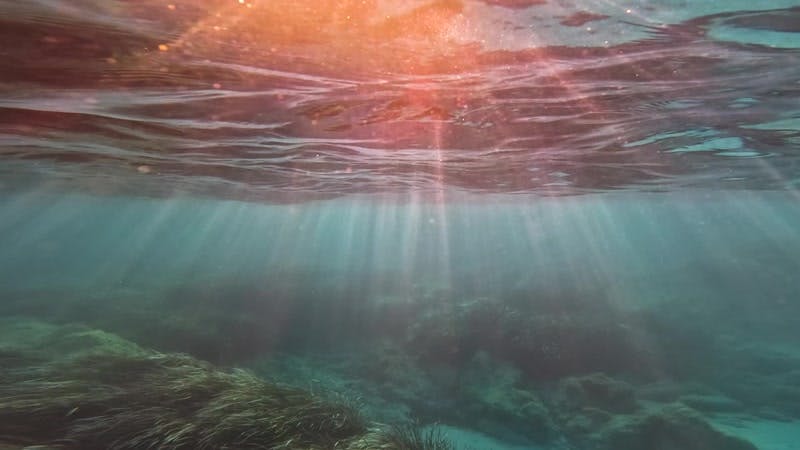 Seabed, Light, Sunrays, Rocky by Ivan Kmeel – Stock Footage | Artlist