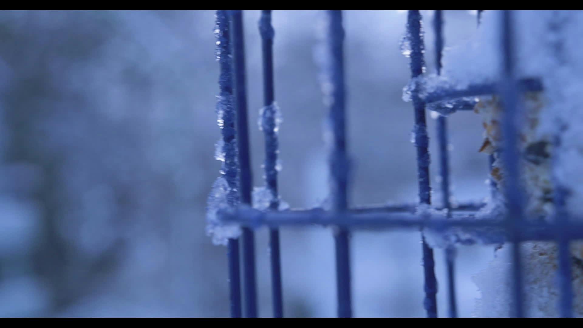 Discover winter-in-the-country, a story-driven footage | Artlist