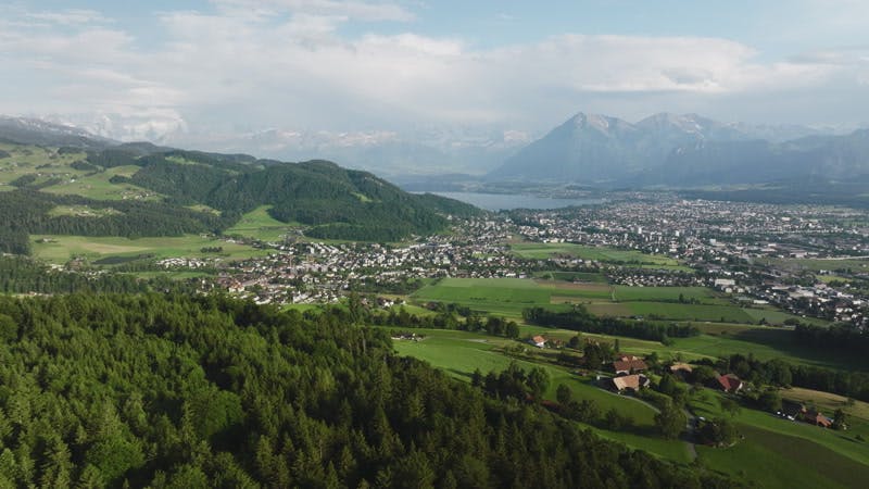 Thun, Field, Forest, Trees by tmnrp – Stock Footage | Artlist
