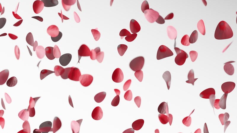 Petals, 3d, Roses, Background by Guille Llano – Stock Footage | Artlist