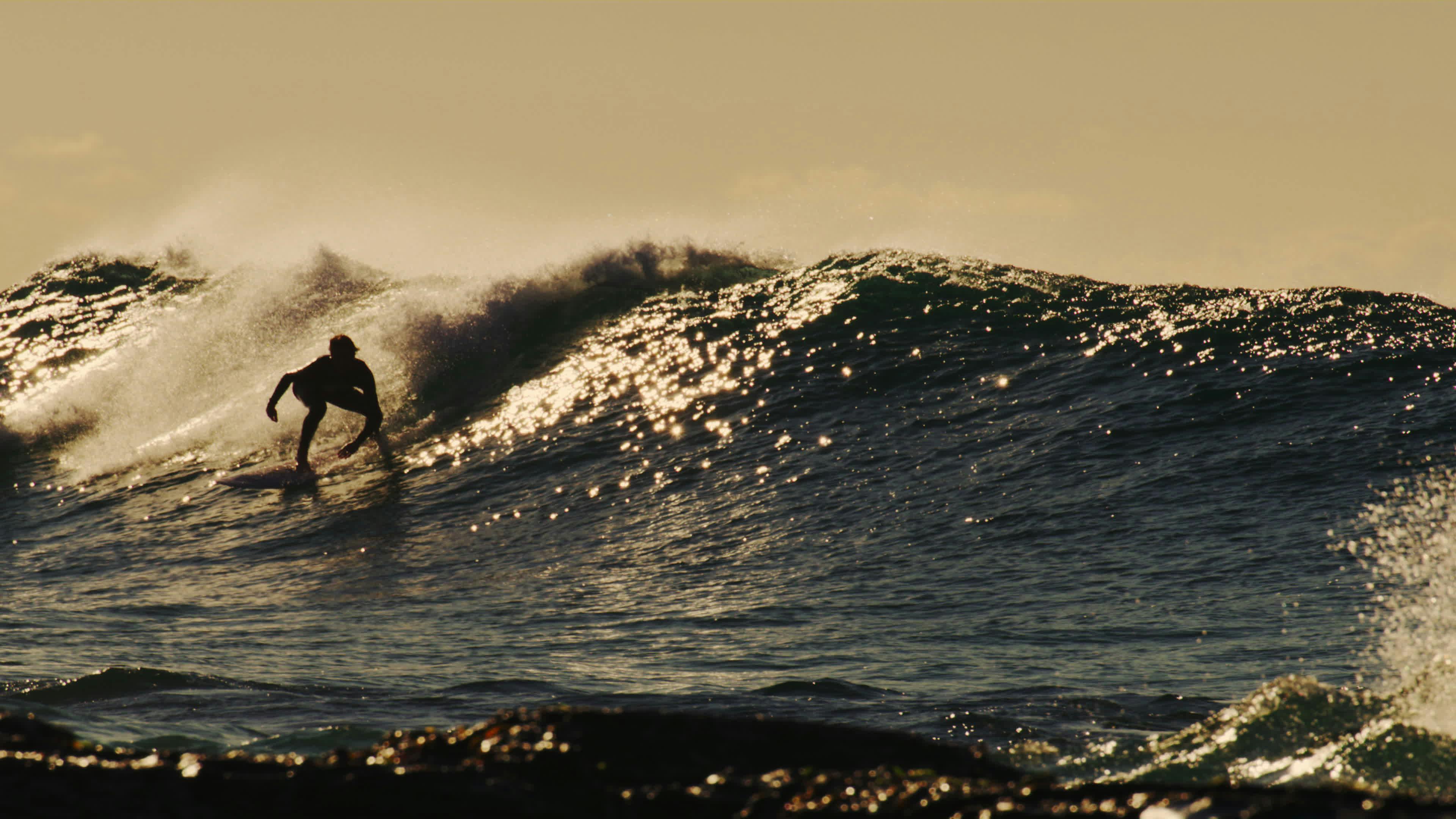 Discover morning-surf, a story-driven footage | Artlist