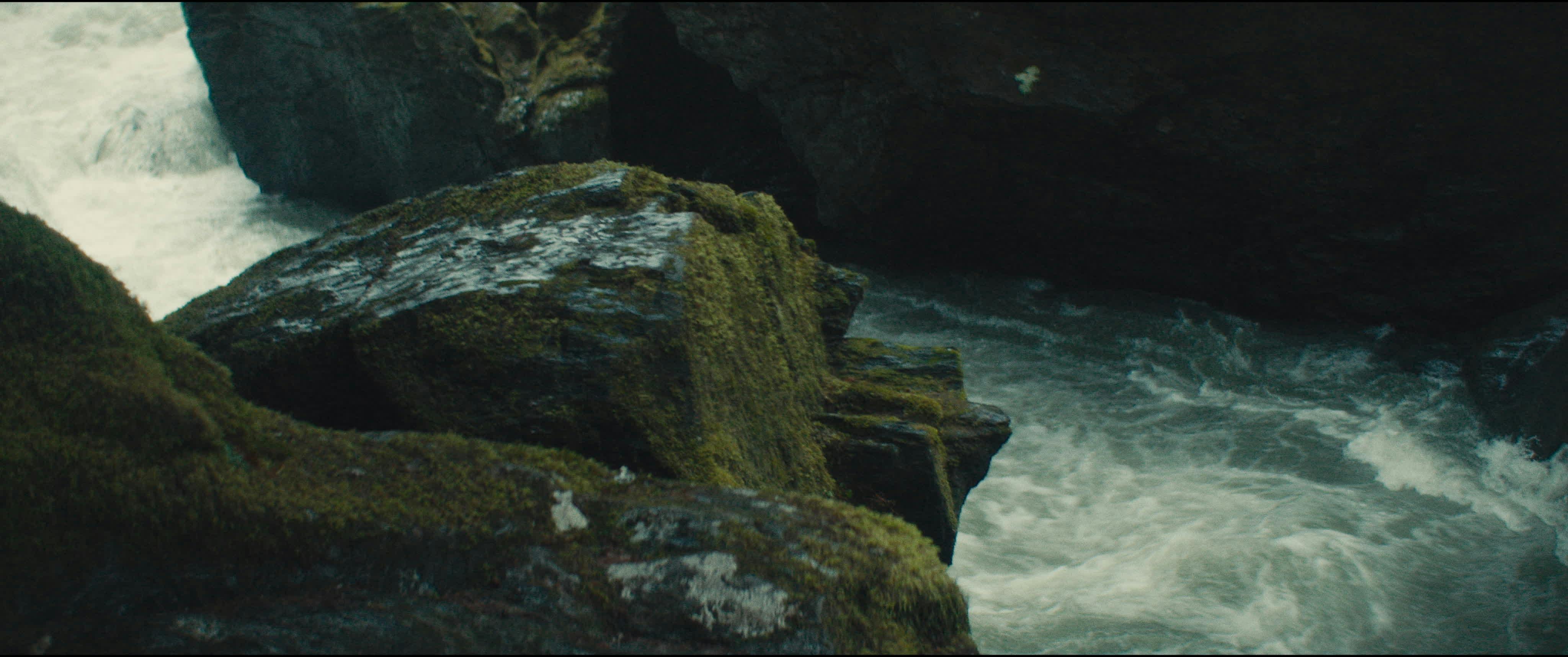 Discover river-gorge-hike, a story-driven footage | Artlist