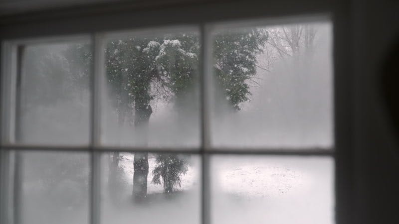 Outside, Falling, Snowflakes, Trees by FILMCOVE – Stock Footage | Artlist