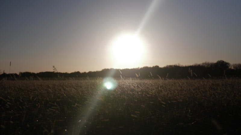 Lens Flare, Glowing, Sun, Dusk by Jordan Hatfield – Stock Footage | Artlist