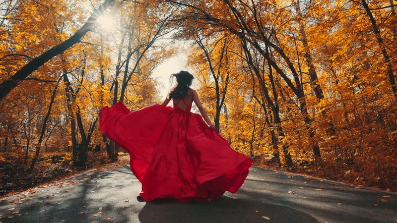 Model, Back Shot, Fall, Autumn by Dmitrii Borovikov – Stock Footage ...