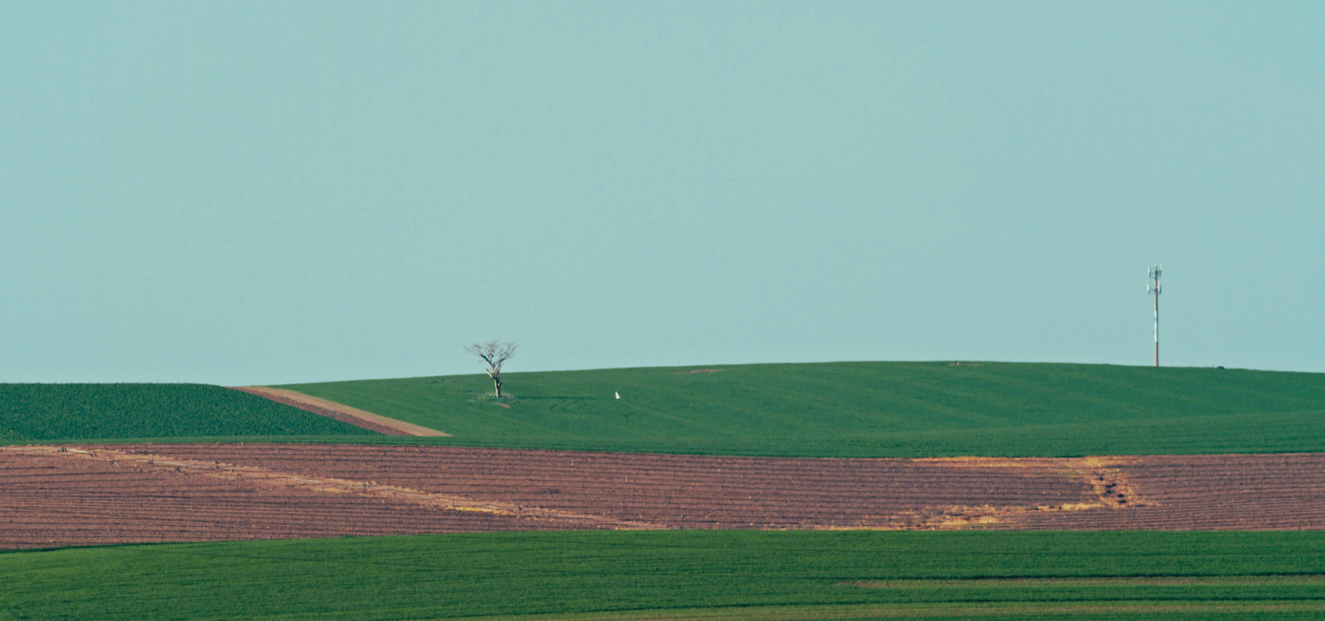 Discover the-wide-open, a story-driven footage | Artlist