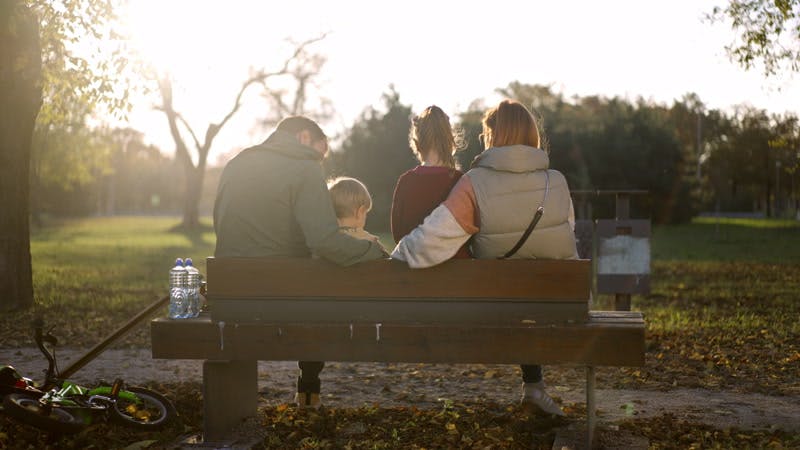 Lens Flare, Bench, Girl, Fall Leaves by Creative Light – Stock Footage | Artlist