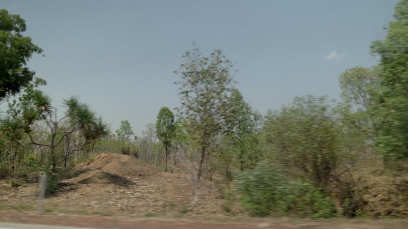 Driving, Trees, Roadside, Road by Adrian Vidak – Stock Footage | Artlist