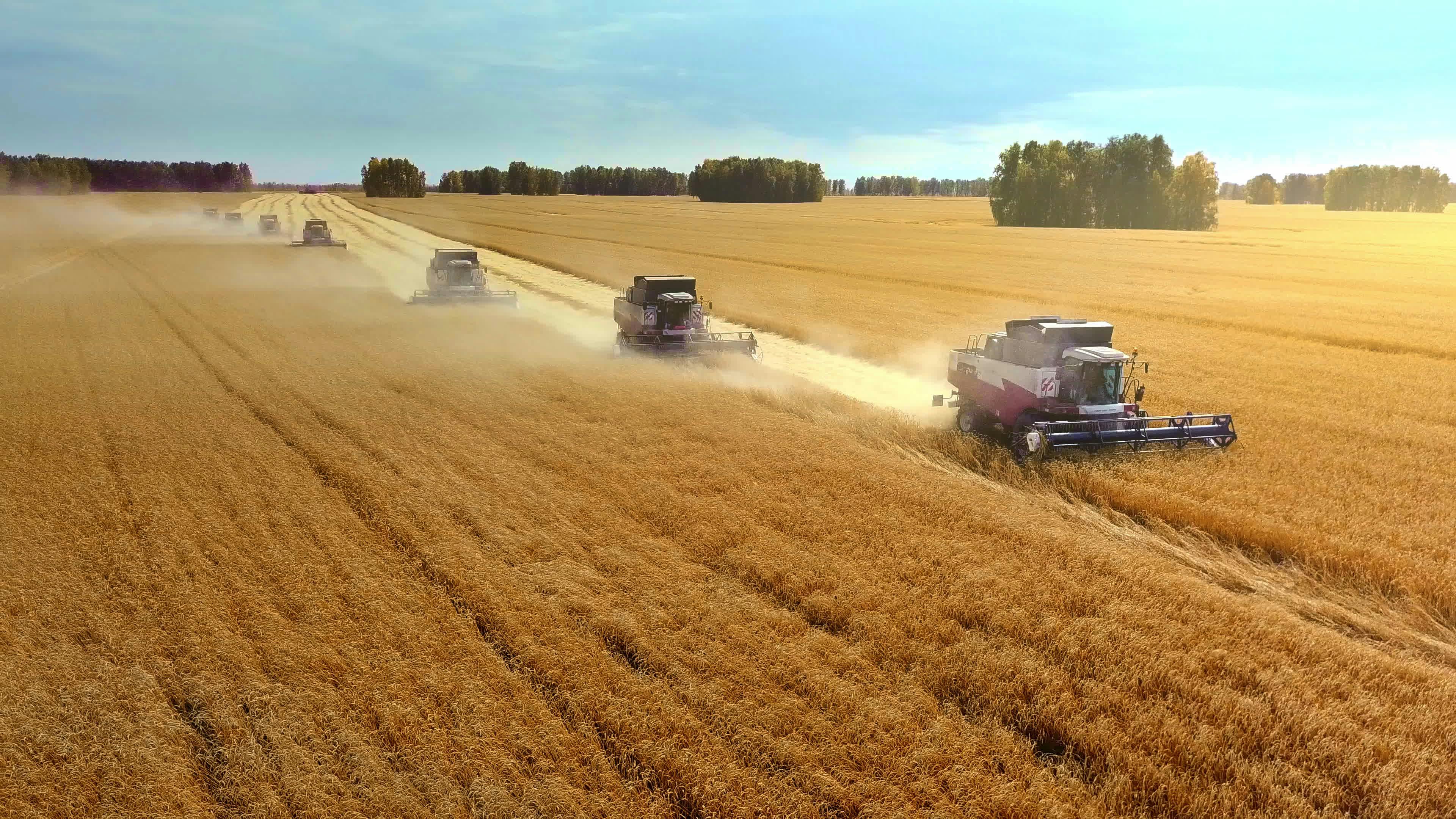 Discover harvesting-in-the-fall, a story-driven footage | Artlist