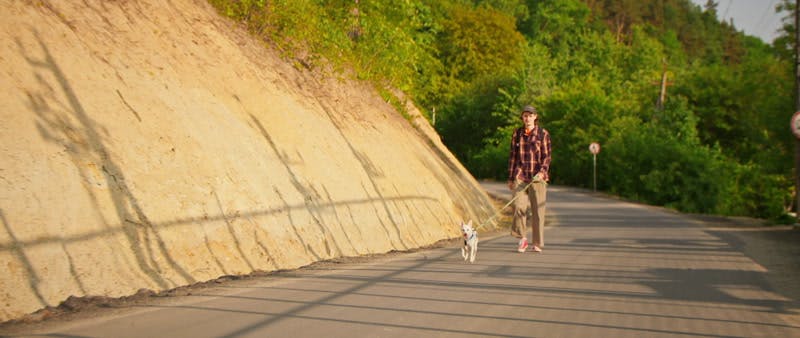 Plants, Man, Dog, Pet by Nazarii Ortynskyi – Stock Footage | Artlist