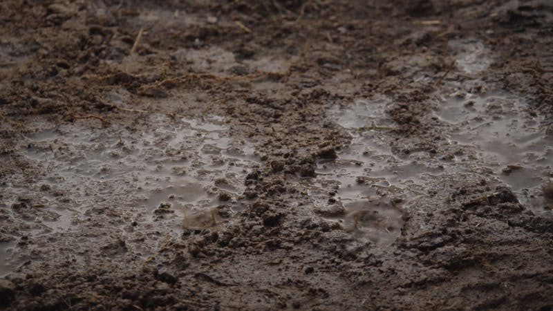 Puddle, Raindrops, Mud, Soil by Nikodem Bartnik – Stock Footage | Artlist