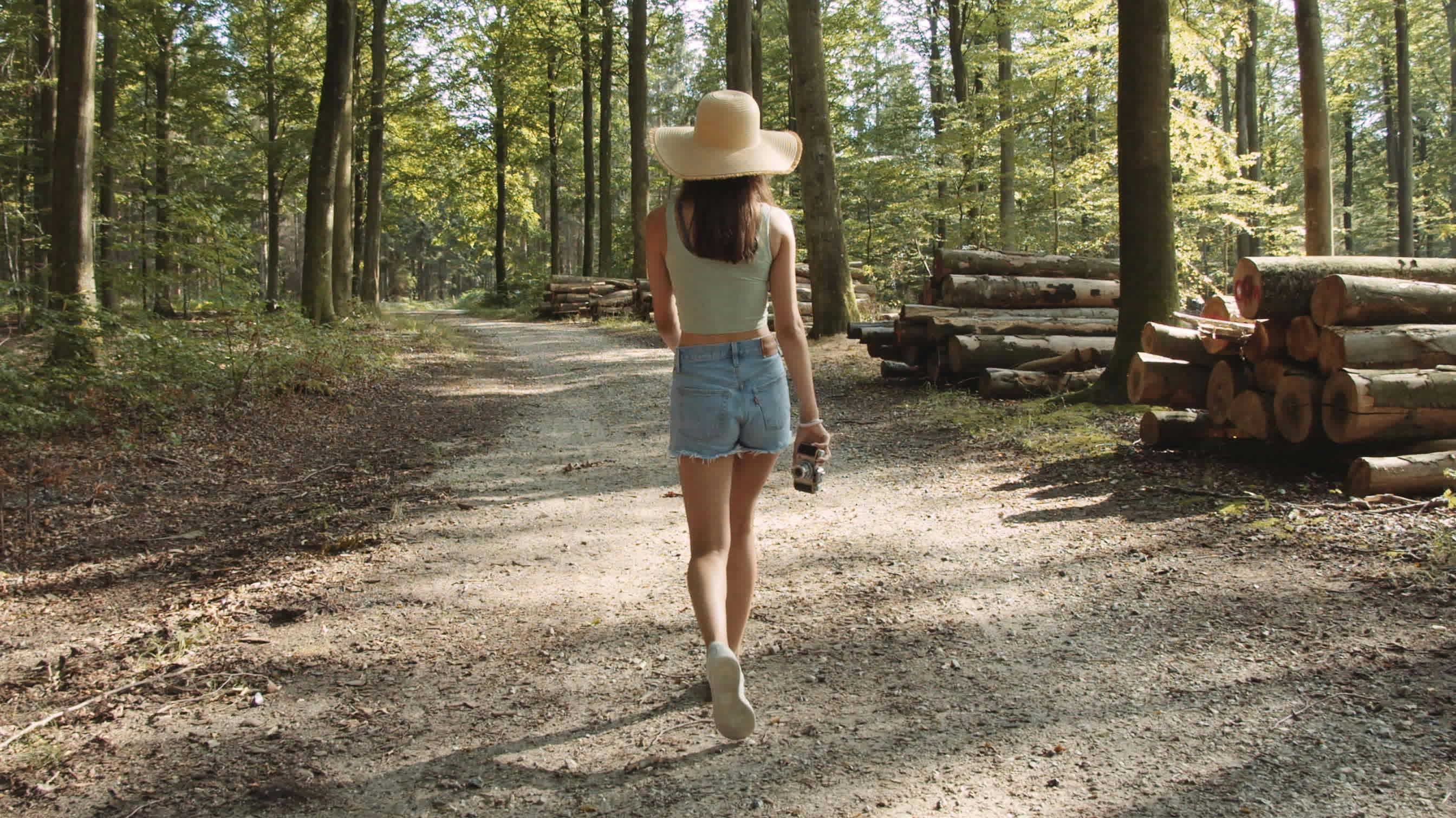 Discover forest-stroll, a story-driven footage | Artlist