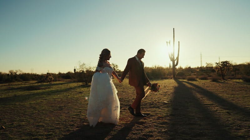 Cactus, Couple, Wedding, Bride by Matt Johnson – Stock Footage | Artlist