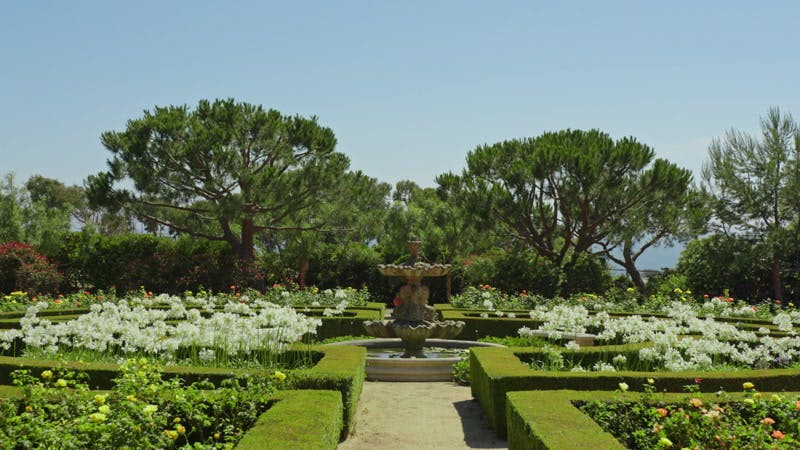 Residence, Home, Real Estate, House by Hugo Will – Stock Footage | Artlist