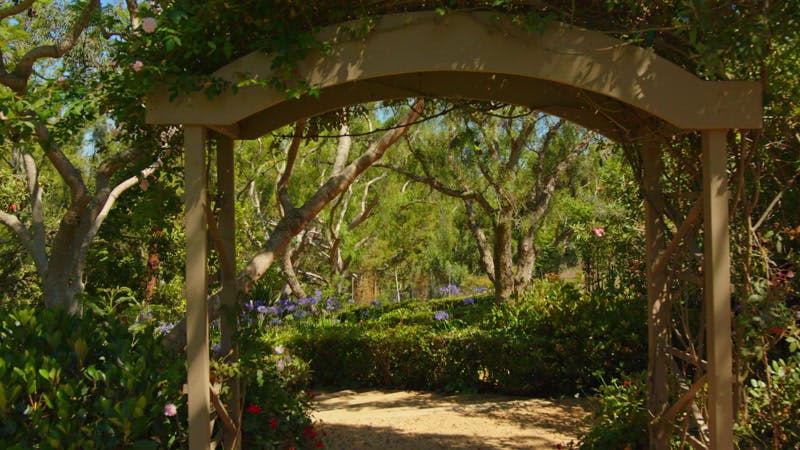 Real Estate, Villa, Luxury, House by Hugo Will – Stock Footage | Artlist