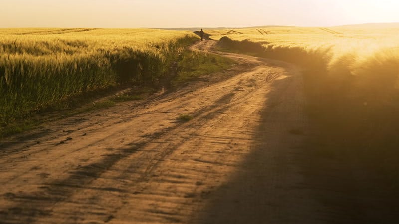 Countryside, Men, Field, Old by Cinematic Vision – Stock Footage | Artlist