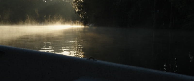 Forest, River, Foggy, Sailing by Nomo Films – Stock Footage | Artlist