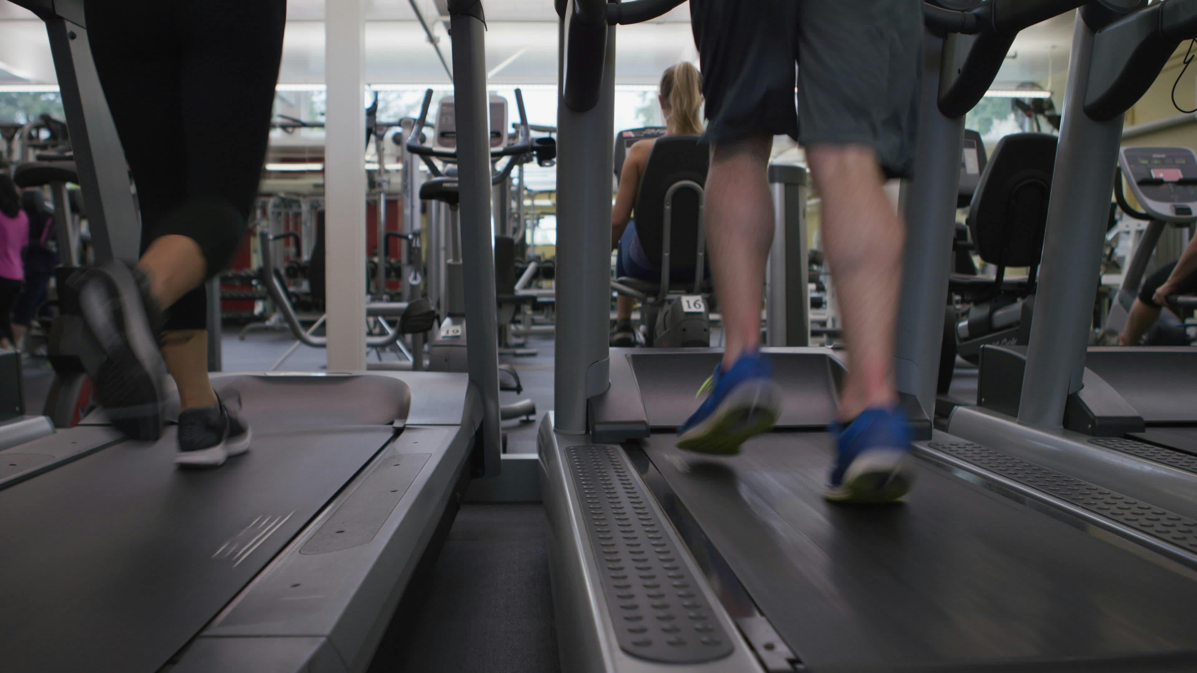 Discover gym-workout, a story-driven footage | Artlist