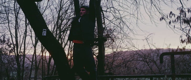 Man, Pull-up, Exercise, Tree-branch by Thomas Gellert – Stock Footage ...