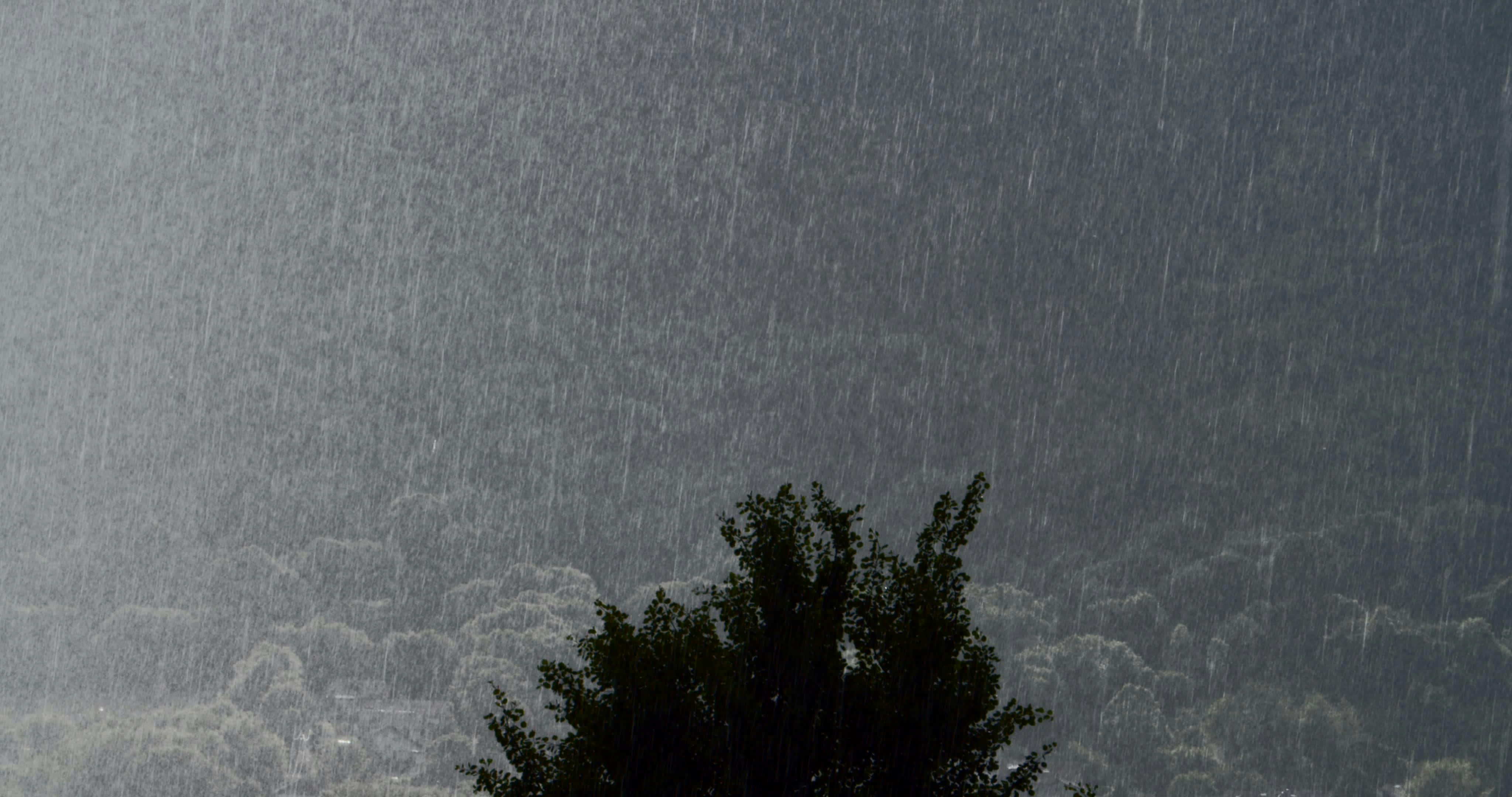 Discover a-wet-day, a story-driven footage | Artlist