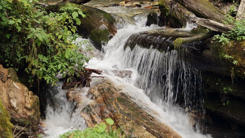 Stream, Annapurna Region, Himalayas, Nepal by Matthew Williams-Ellis ...