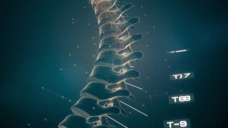 Animation, Infographic, Vertebral Column, Thoracic Spine by Gilad Baron ...