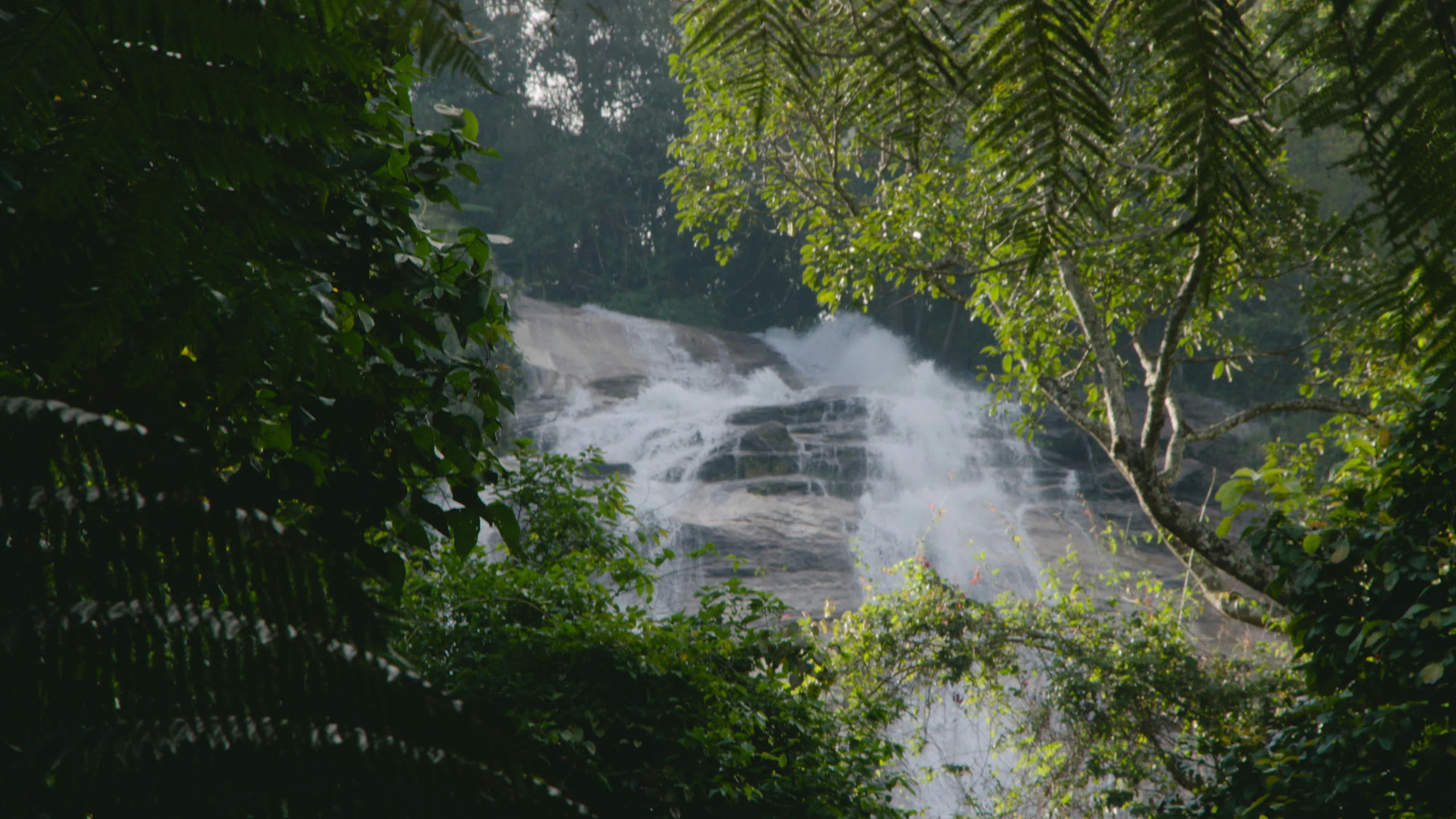 Discover waterfall-lookout, a story-driven footage | Artlist