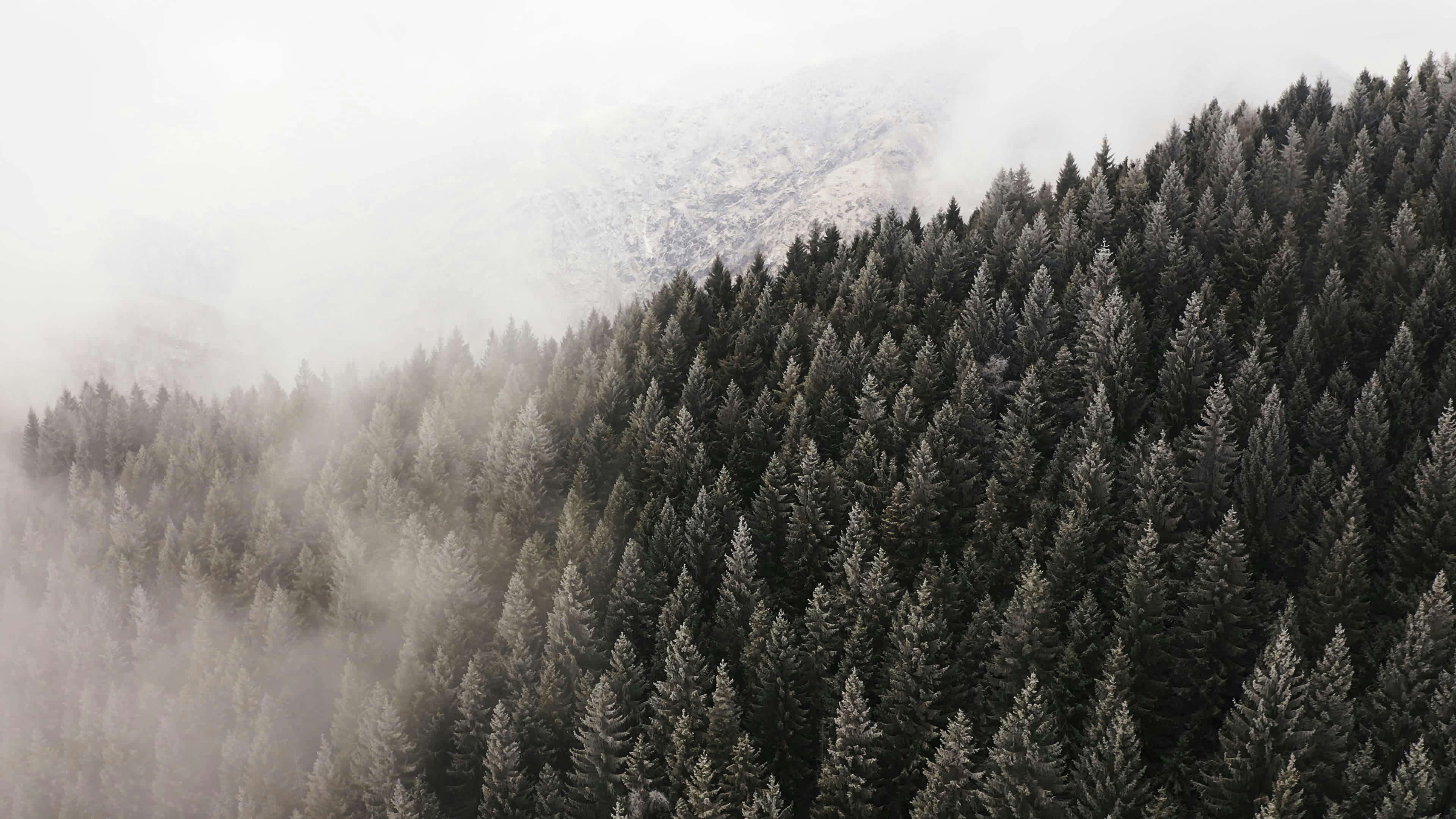 Discover cold-alpine-mountains, a story-driven footage | Artlist