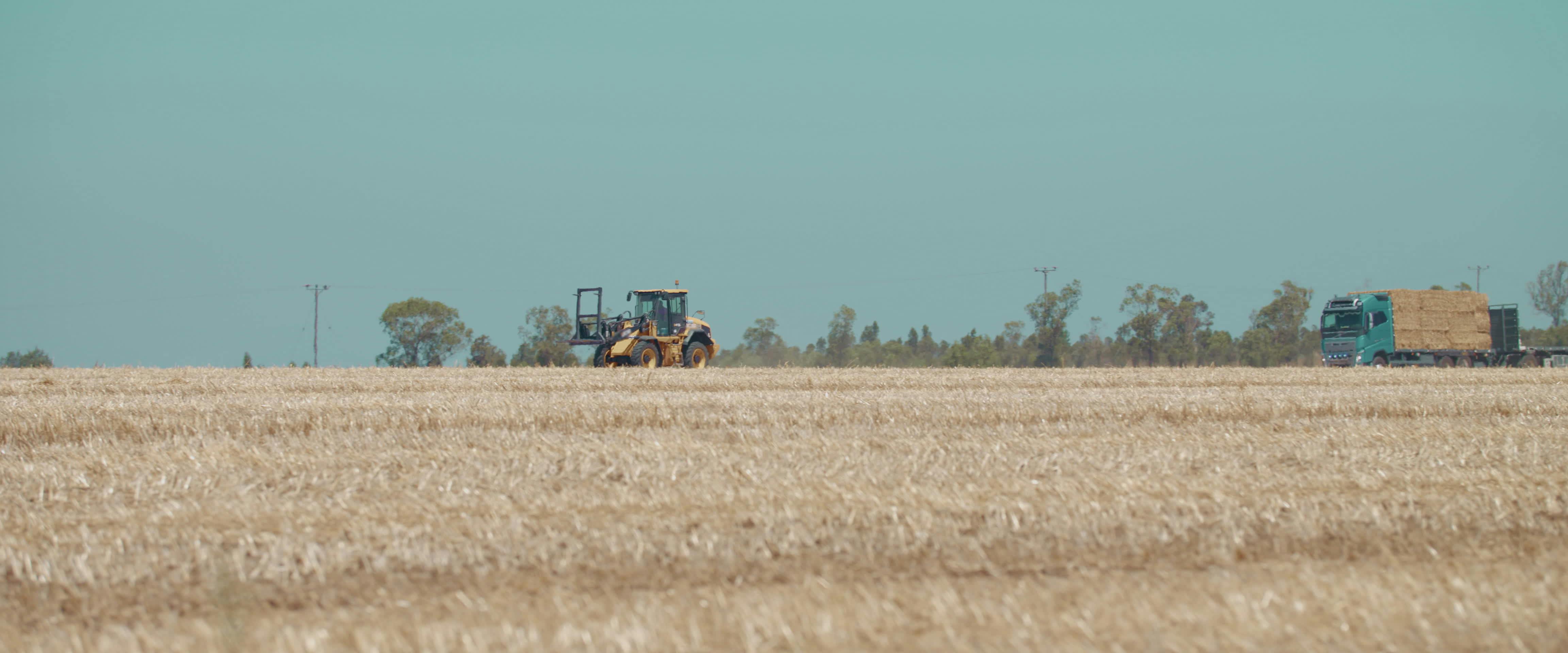 Discover stacking-hay, a story-driven footage | Artlist