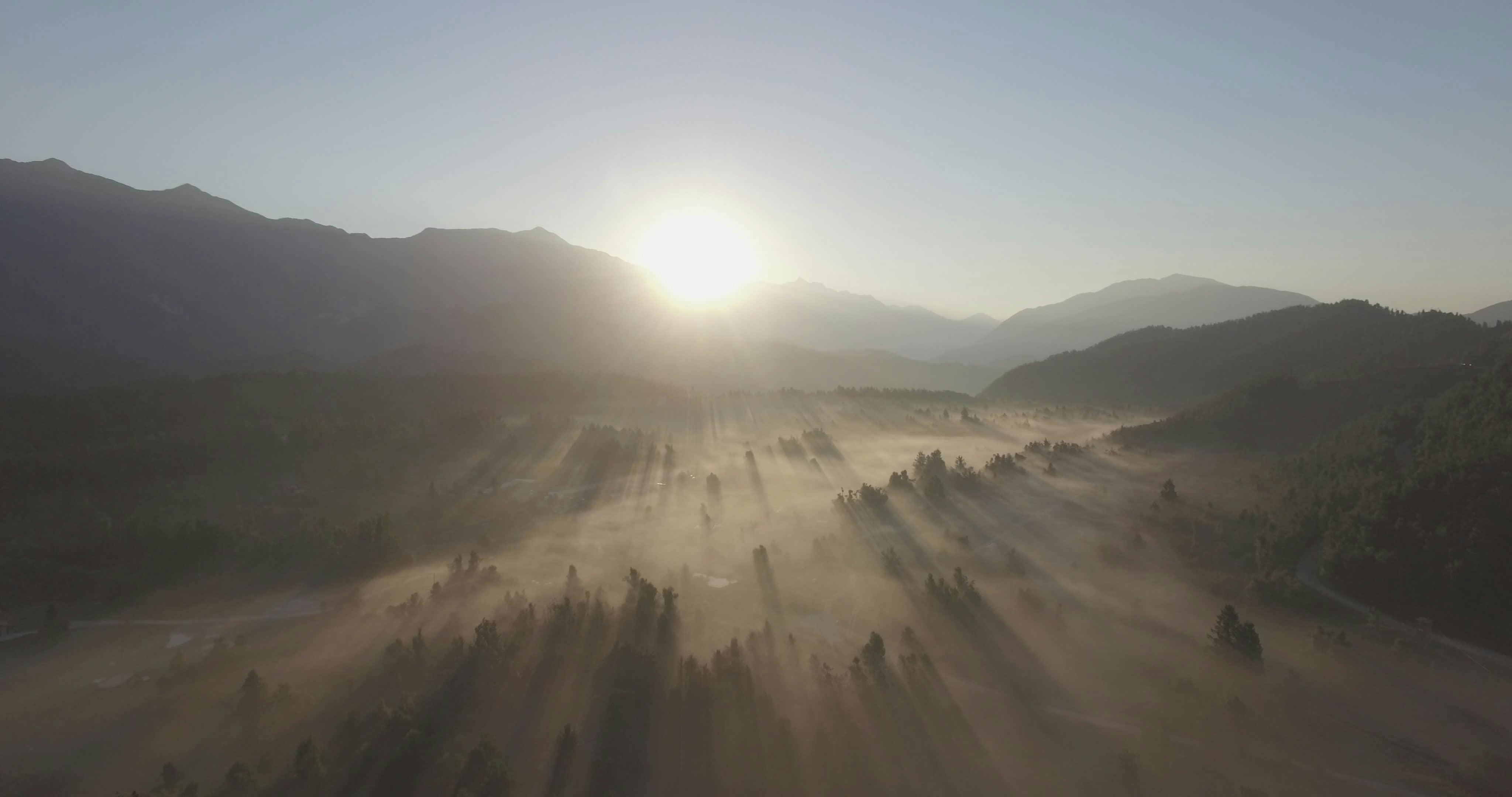 Discover mist-in-the-forest-at-dawn, a story-driven footage | Artlist