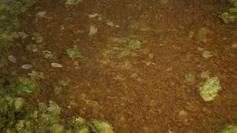 Hops, Malt, Mash, Boiling by Up North Studio – Stock Footage | Artlist