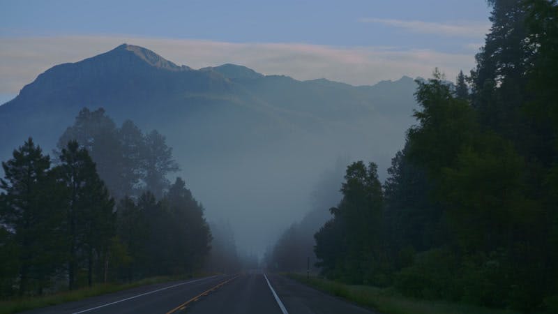 Mist, Fog, Ride, Trees by Tanner Fowler – Stock Footage | Artlist