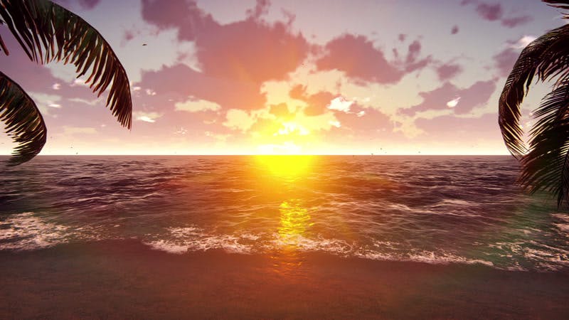 Cgi, Dusk, Waves, Palm Trees by Savagerus – Stock Footage | Artlist