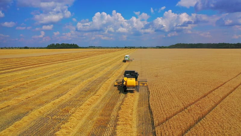Harvesting, Harvester, Farm-culture, Agriculture by Denys Hrishyn ...
