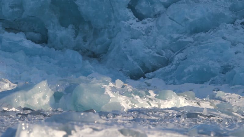 Polar Bear, Snow, Arctic, Hunting by Wildlife and Nature Studios ...