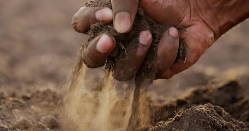 Dust, Hand, Soil, Wind by Dmitrii Borovikov – Stock Footage | Artlist