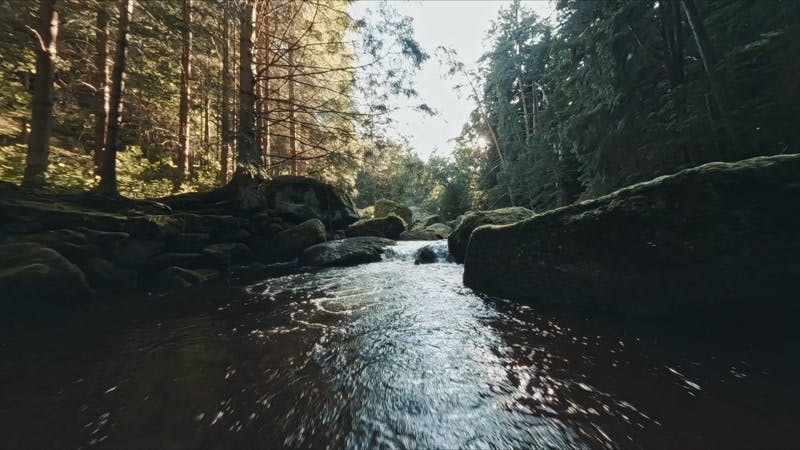 Stream, Forest, Drone, Trees by MXR Productions – Stock Footage | Artlist