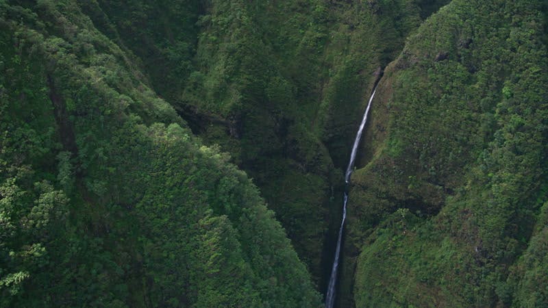 Aerial, Trees, Ravine, Hawaii by Via Films – Stock Footage | Artlist