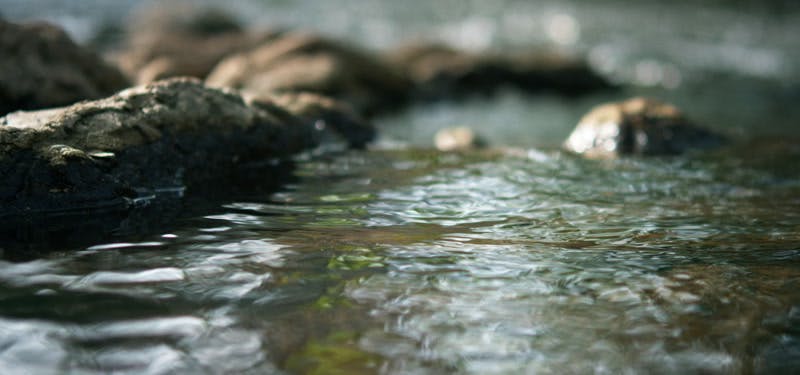 Calm Water, Flowing Water, Water Reflections, Tranquil Nature by Omri ...