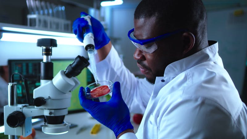 Laboratory, Cultured Meat, Microscope, Looking by Frame Stock Footage ...
